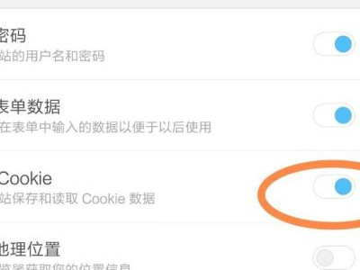 手机浏览器cookie怎么开启